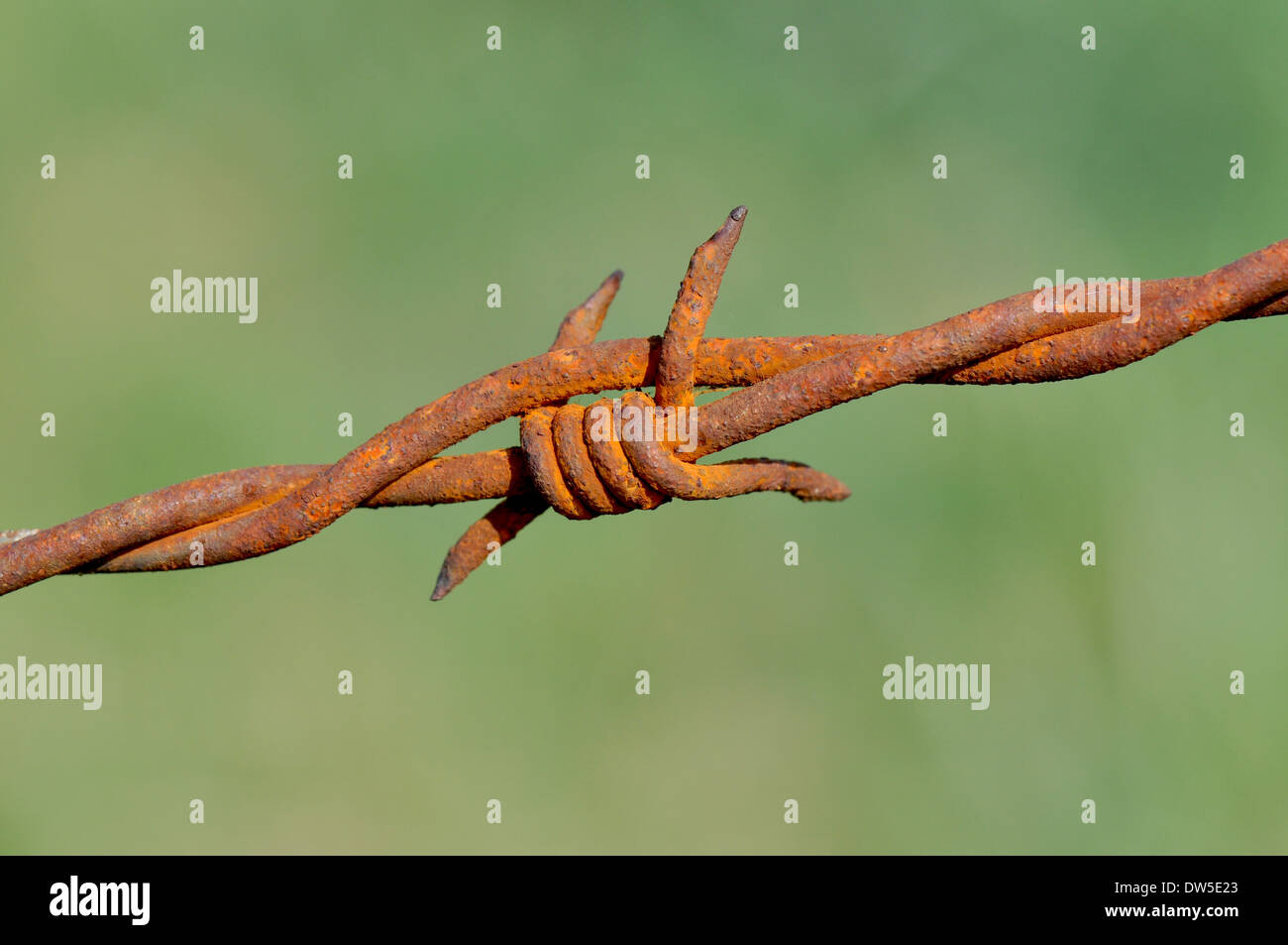 Background of a rusty fence hi-res stock photography and images - Alamy