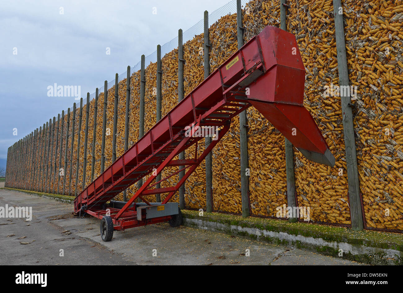Corn is stored in a corn grip near Bad Krozingen in the Rhinevalley ...