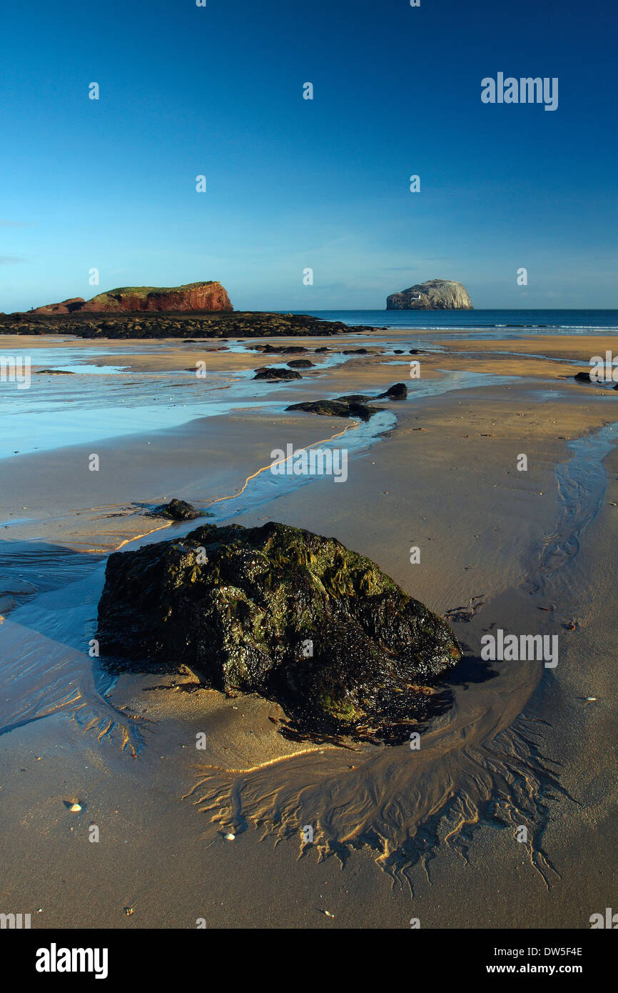 Bass Rock from Seacliff near North Berwick on the East Lothian ...