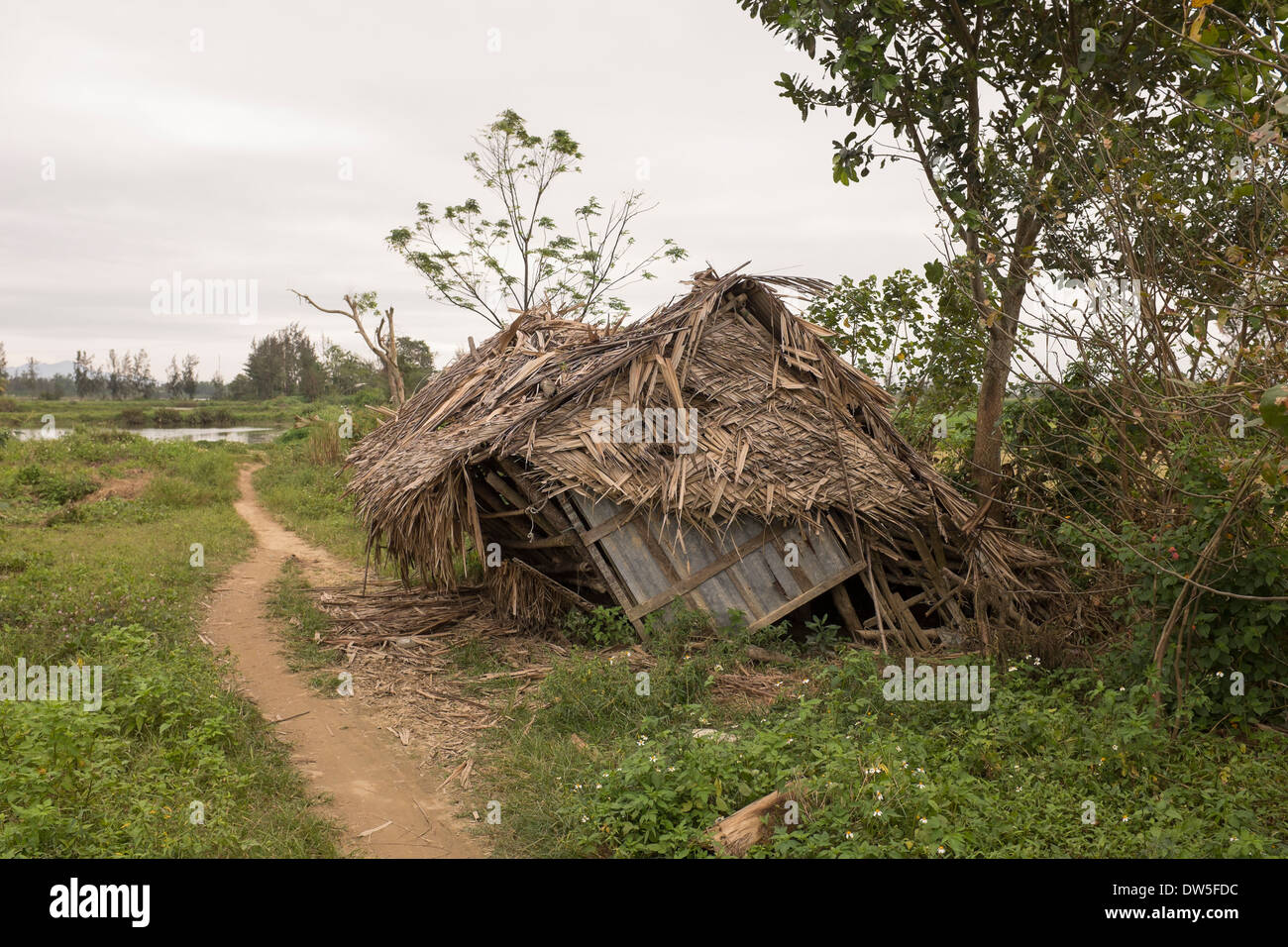 Dilapidated Shack in countryside near Hoi An Stock Photo - Alamy