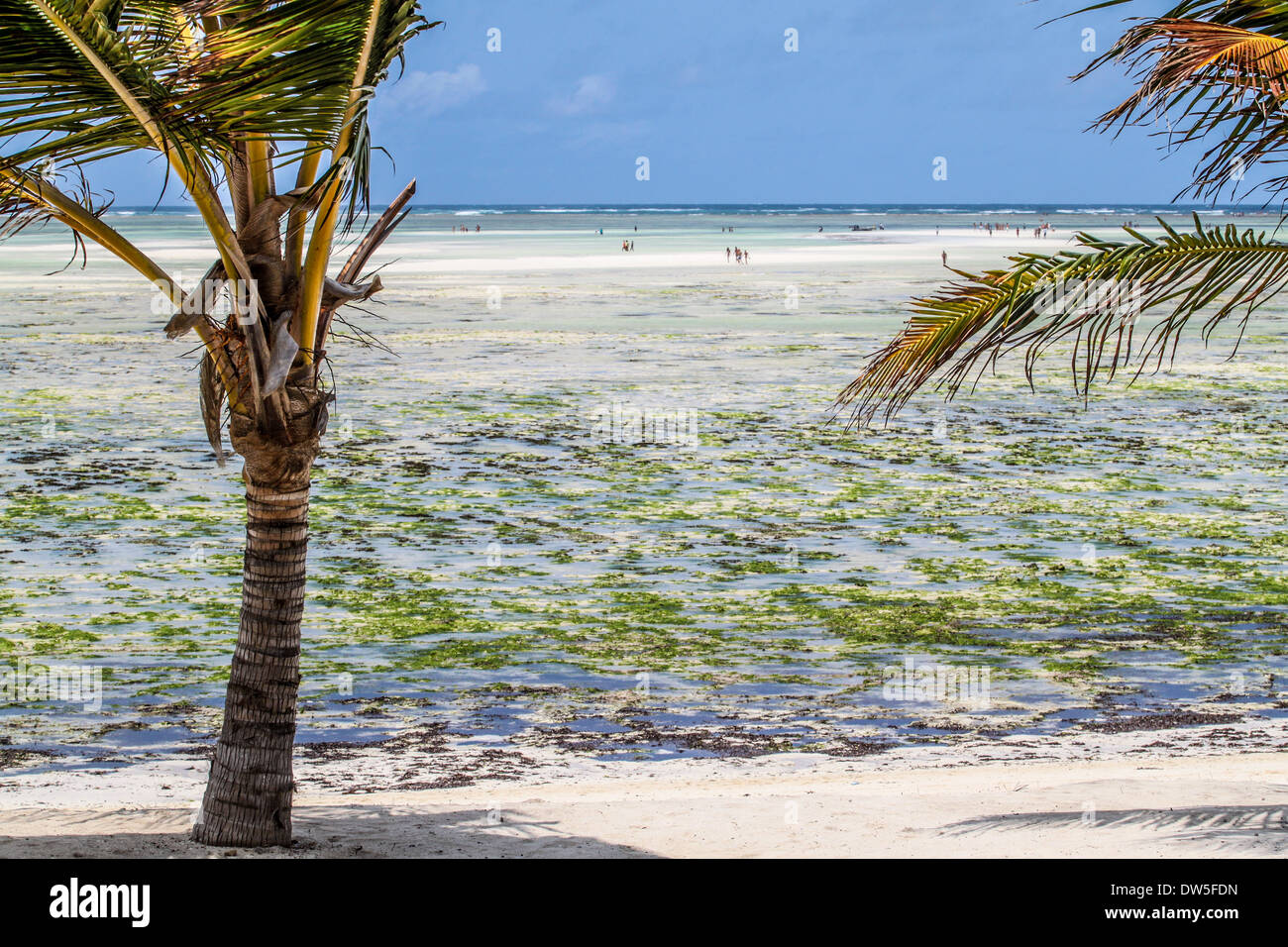 african beach landscape, Watamu, Kenya Stock Photo - Alamy