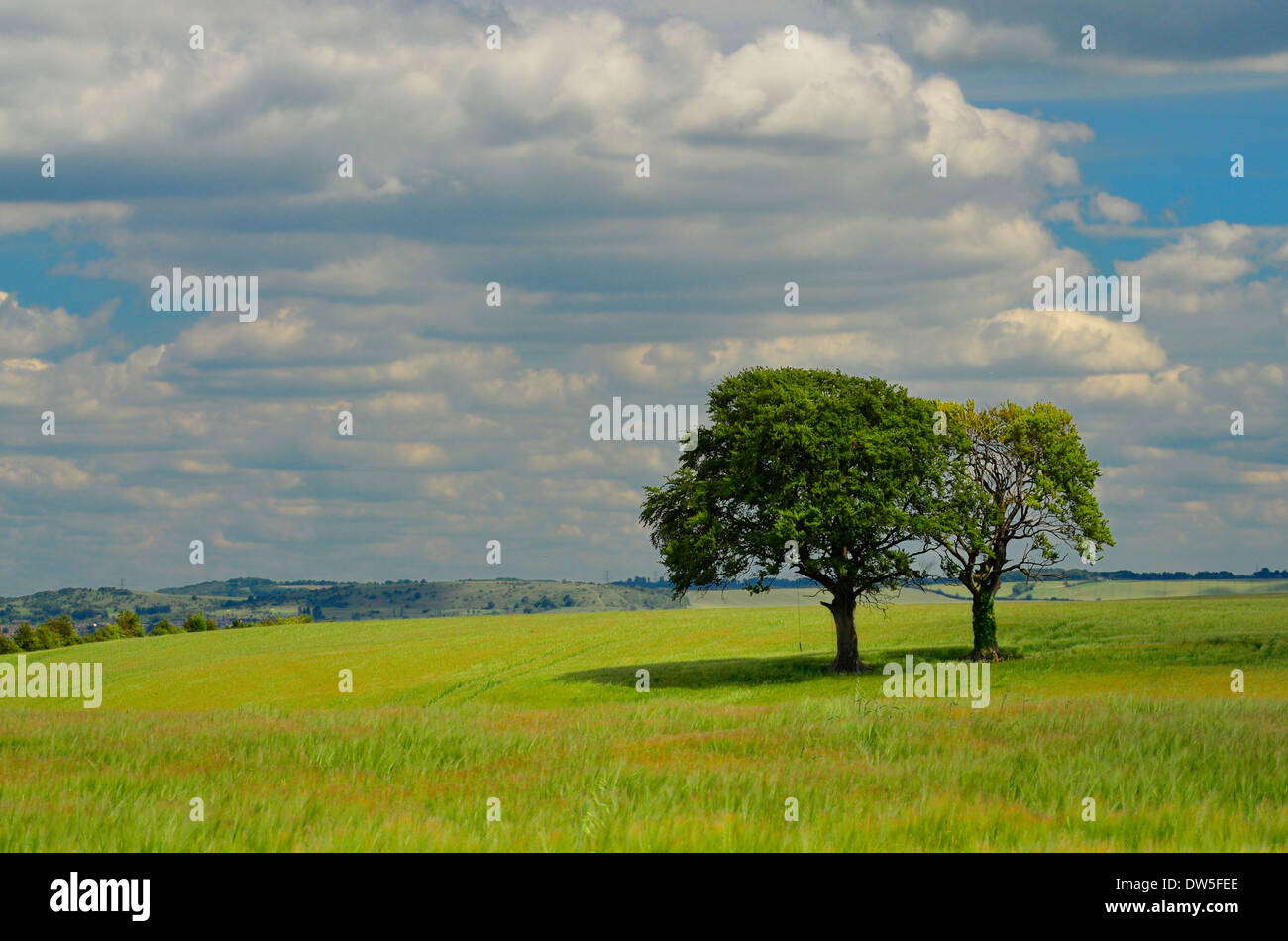 Luton summer hi-res stock photography and images - Alamy