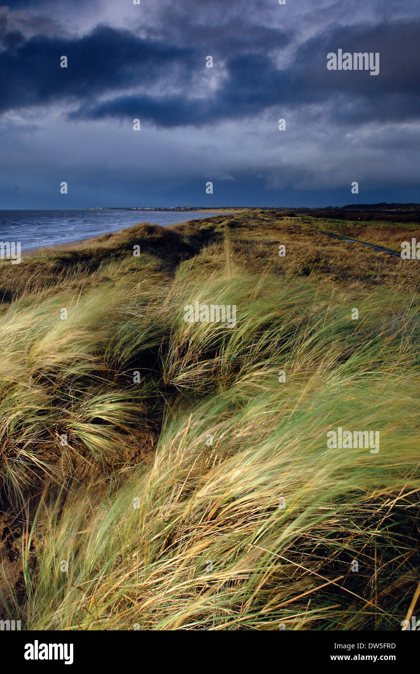 Dunes and an approaching storm at Prestwick, Ayrshire Stock Photo - Alamy
