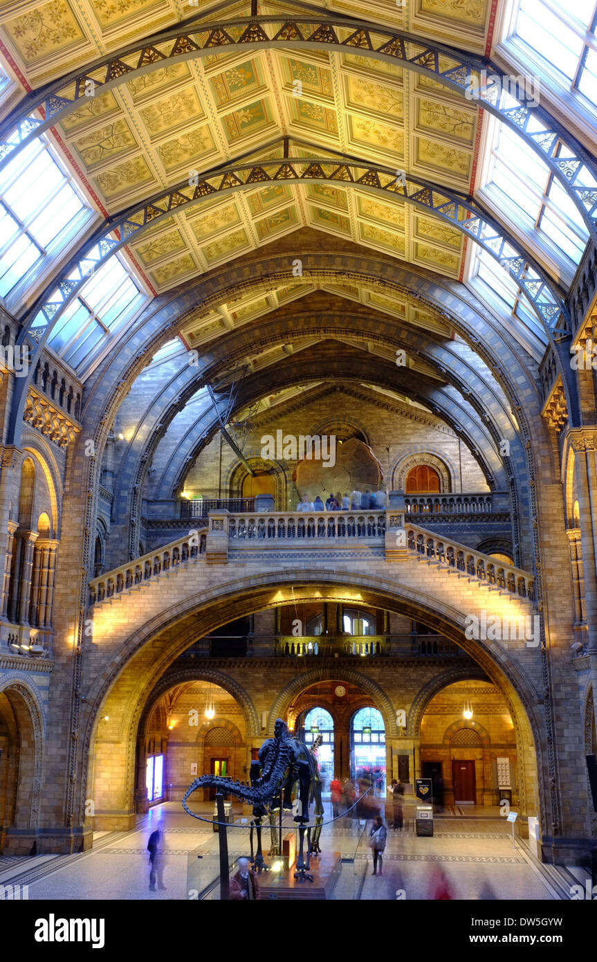The Natural History Museum in London, England Stock Photo - Alamy