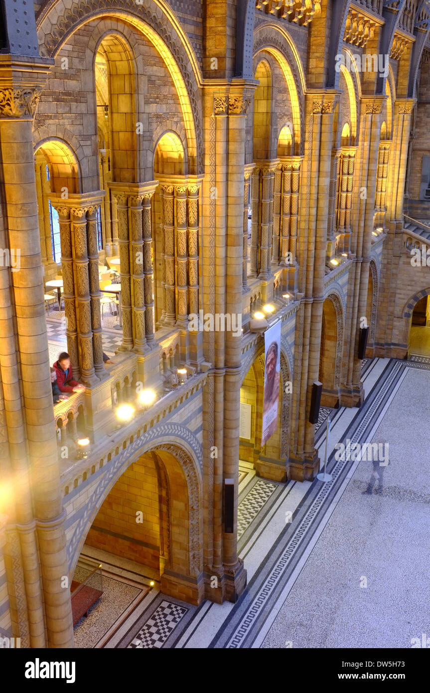 The Natural History Museum in London, England Stock Photo - Alamy