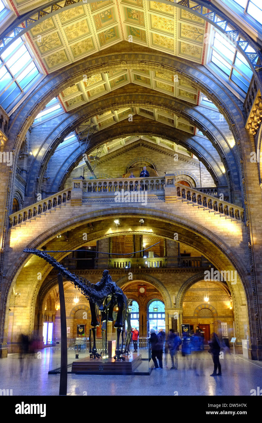 The Natural History Museum in London, England Stock Photo - Alamy
