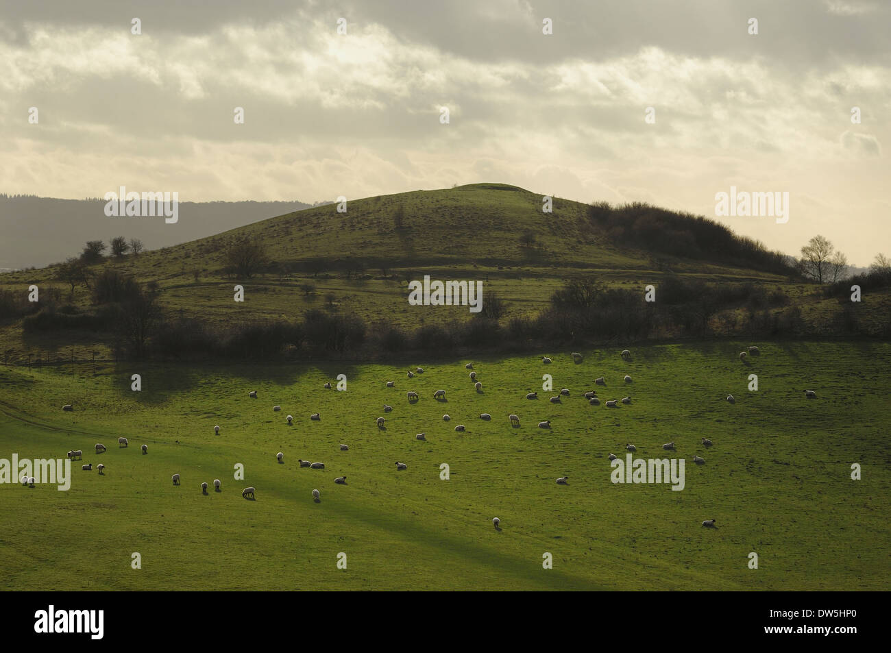 Ivinghoe Beacon High Resolution Stock Photography and Images - Alamy