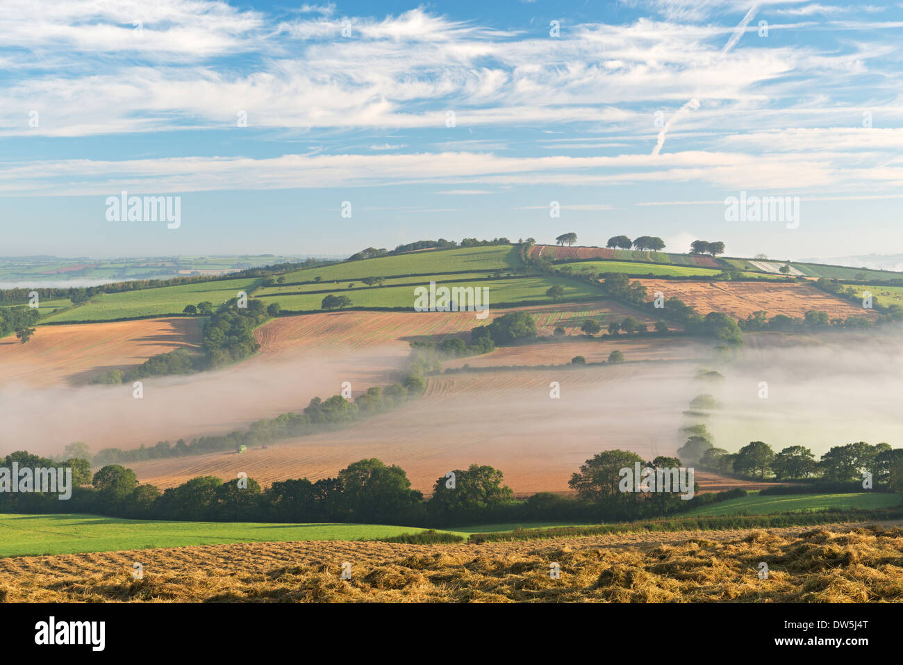 Mist covered rolling countryside at dawn, Near Crediton, Devon, England ...