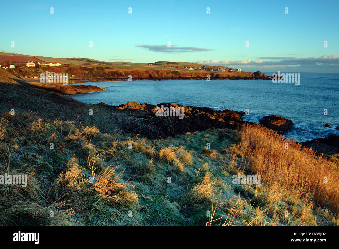 Coldingham Sands Beach High Resolution Stock Photography and Images - Alamy