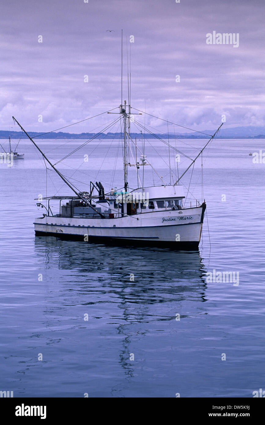 Fishing boat from public pier, Santa Cruz, California Stock Photo - Alamy