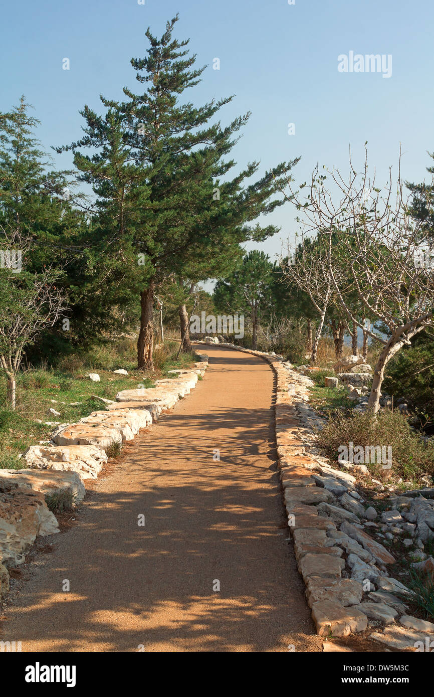 Autumn trail stretches into the distance in Israel Stock Photo - Alamy