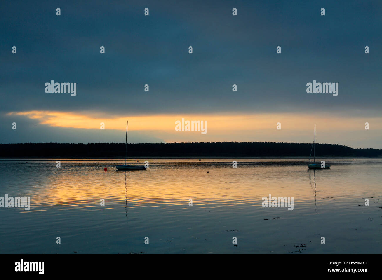 Culbin forest hi-res stock photography and images - Alamy