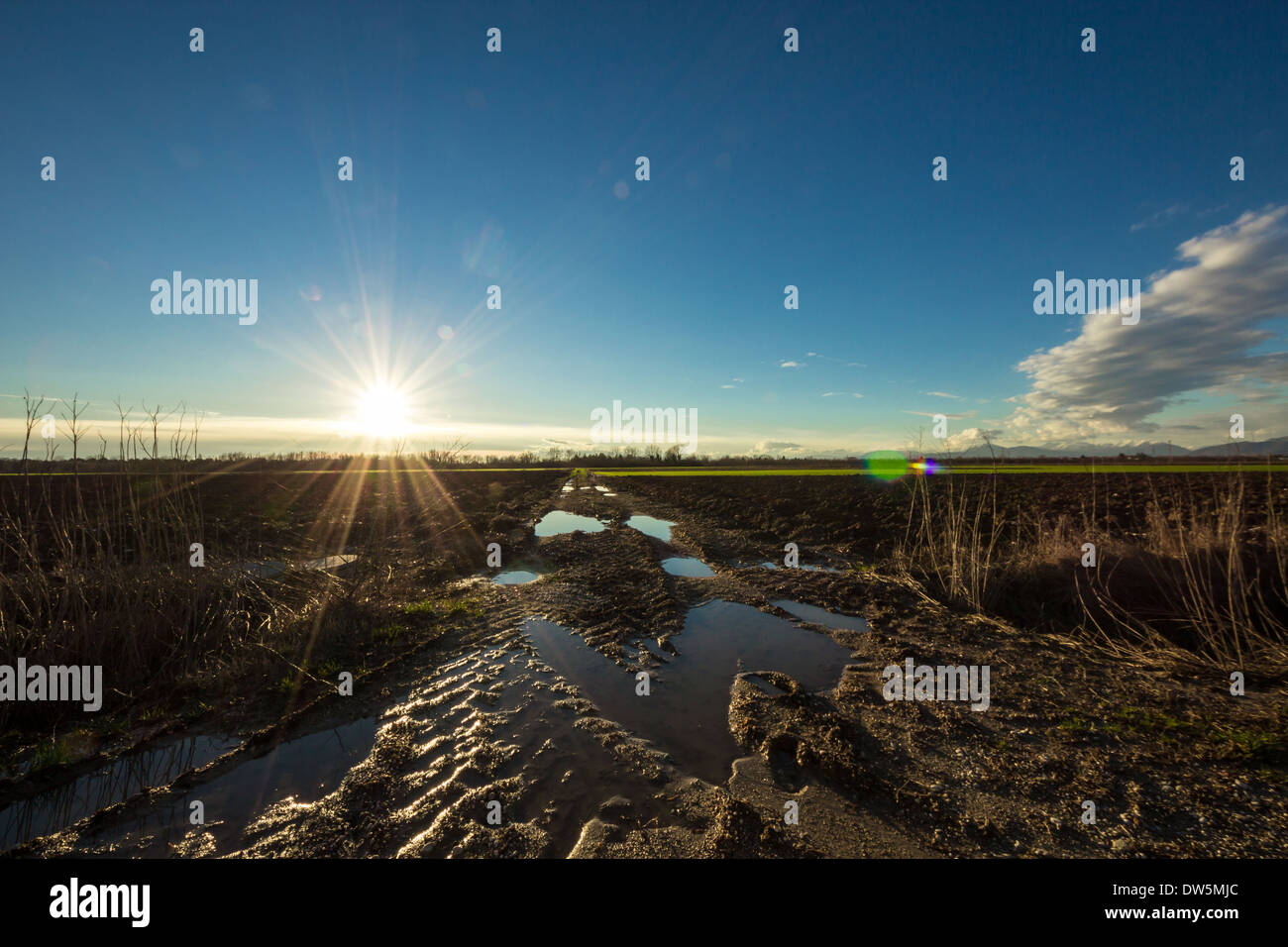 after a shower big puddles in a country road Stock Photo - Alamy