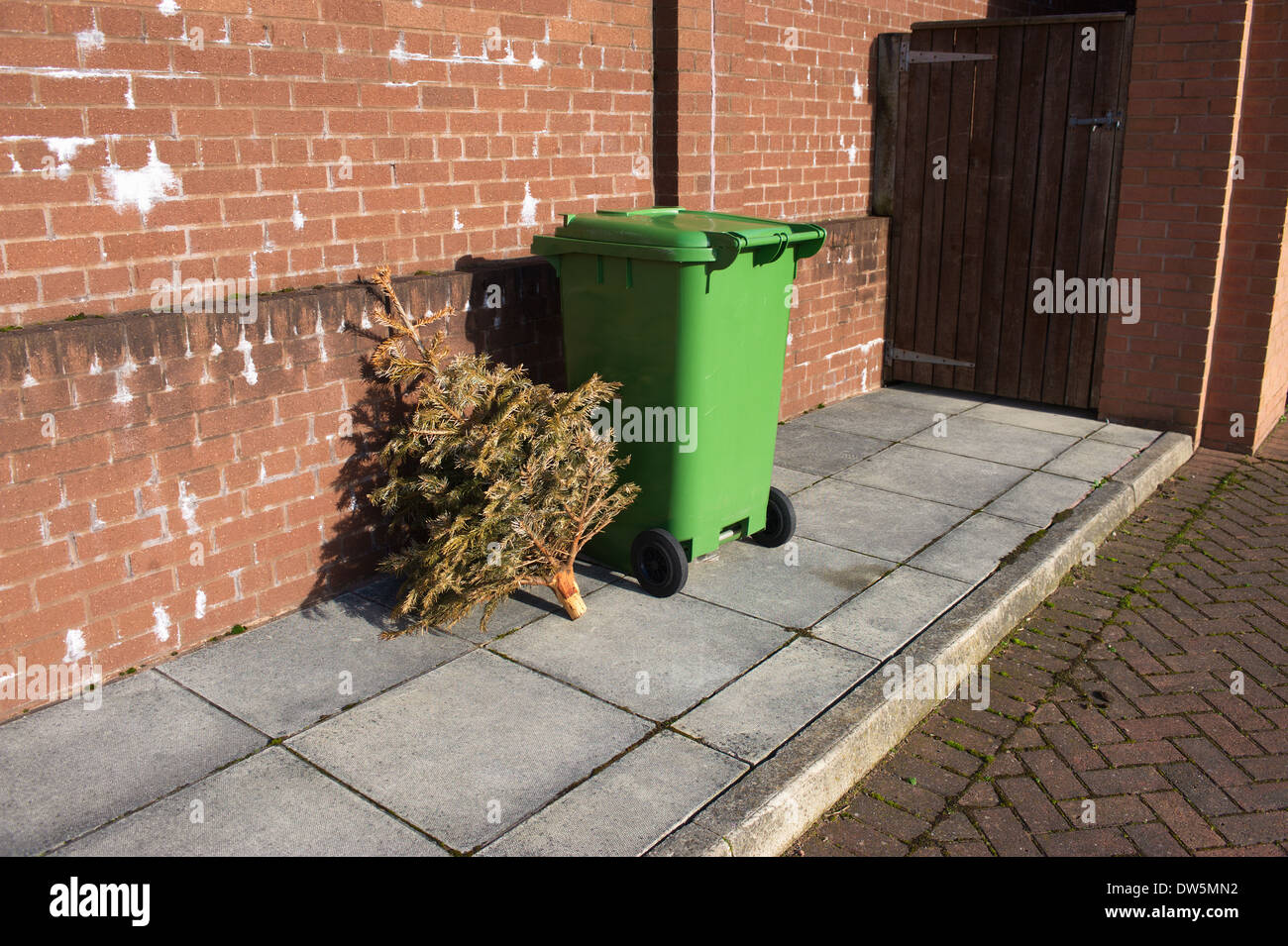 Dumped Christmas tree waiting for rubbish collection at the end of the ...