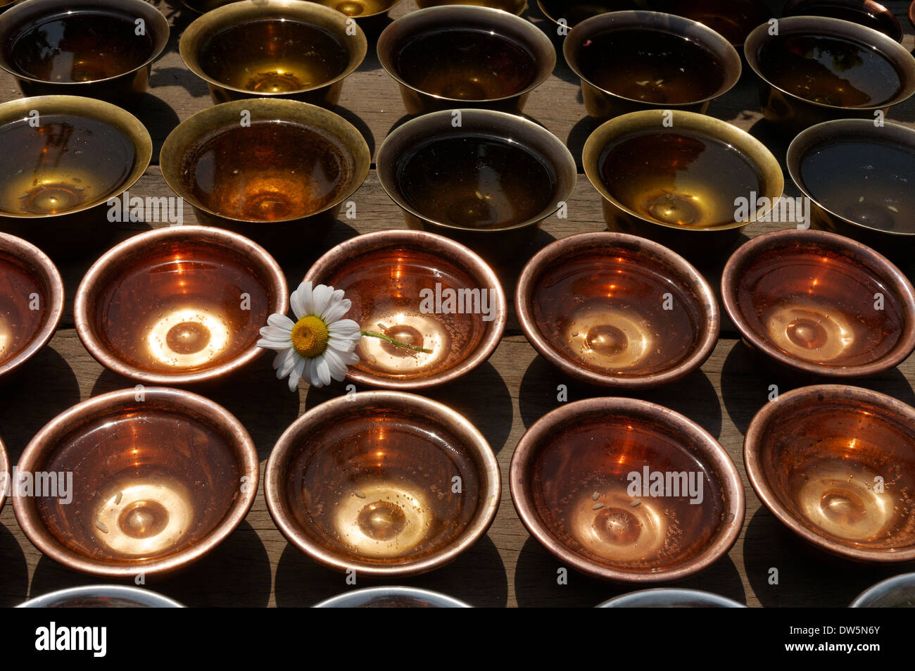 Hindu temple prayers hi-res stock photography and images - Alamy