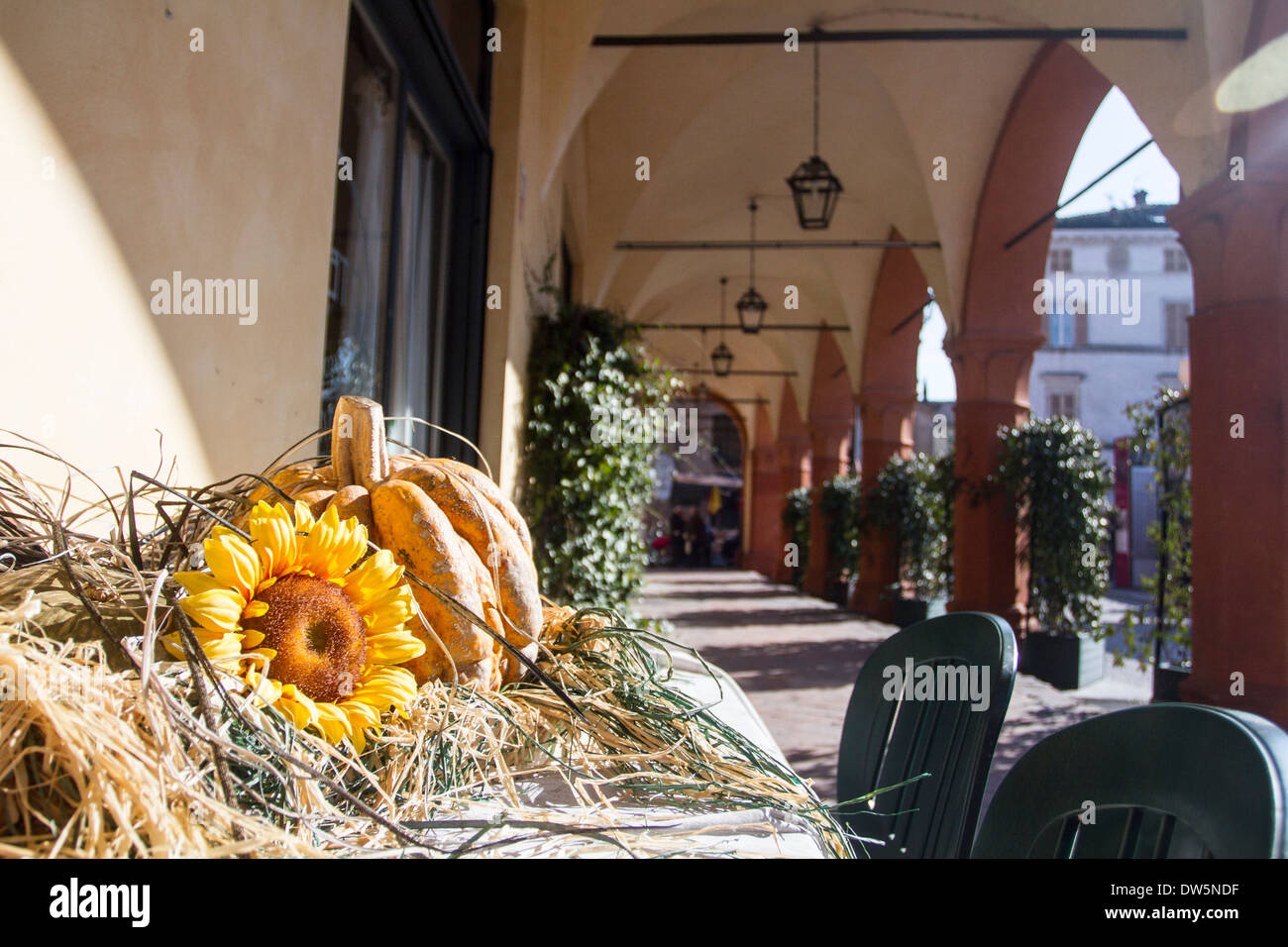 Streets of Busseto village, Emilia Romagna, Italy Stock Photo - Alamy