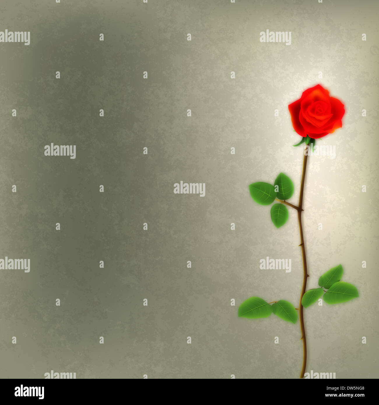 abstract grunge background with red rose on gray Stock Photo - Alamy