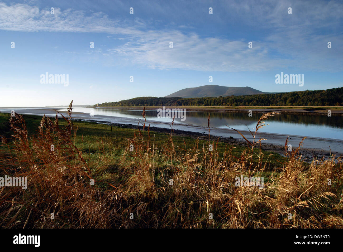 Criffel hill hi-res stock photography and images - Alamy