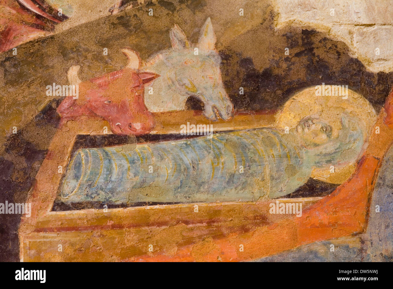 Siena cathedral crypt hi-res stock photography and images - Alamy