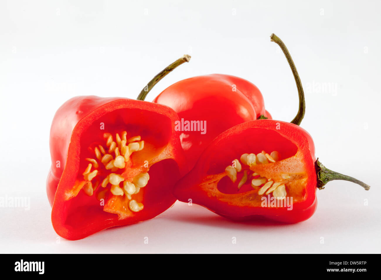 Two red,very hot Habanero chilli peppers from the C. Chinense cultivar ...