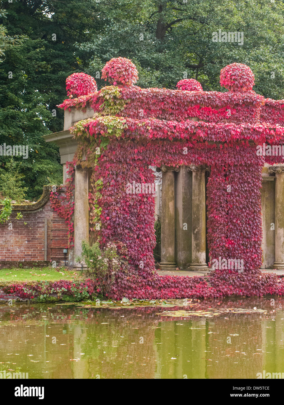 Virginia Creeper in full colour covering ancient columns and arches at ...
