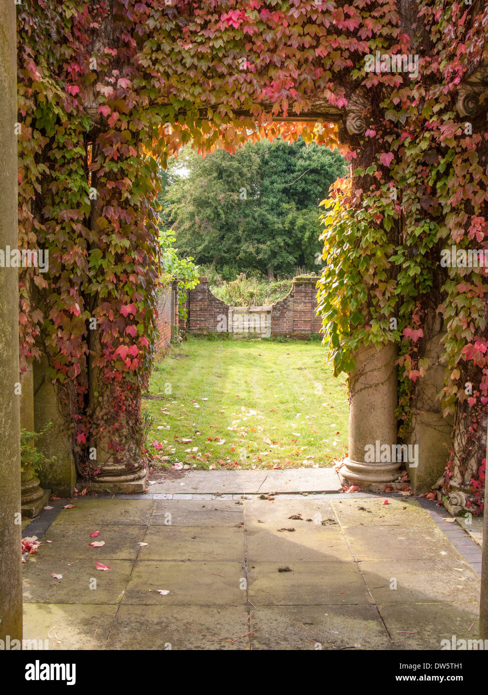 Virginia Creeper in full colour covering ancient columns and arches at ...