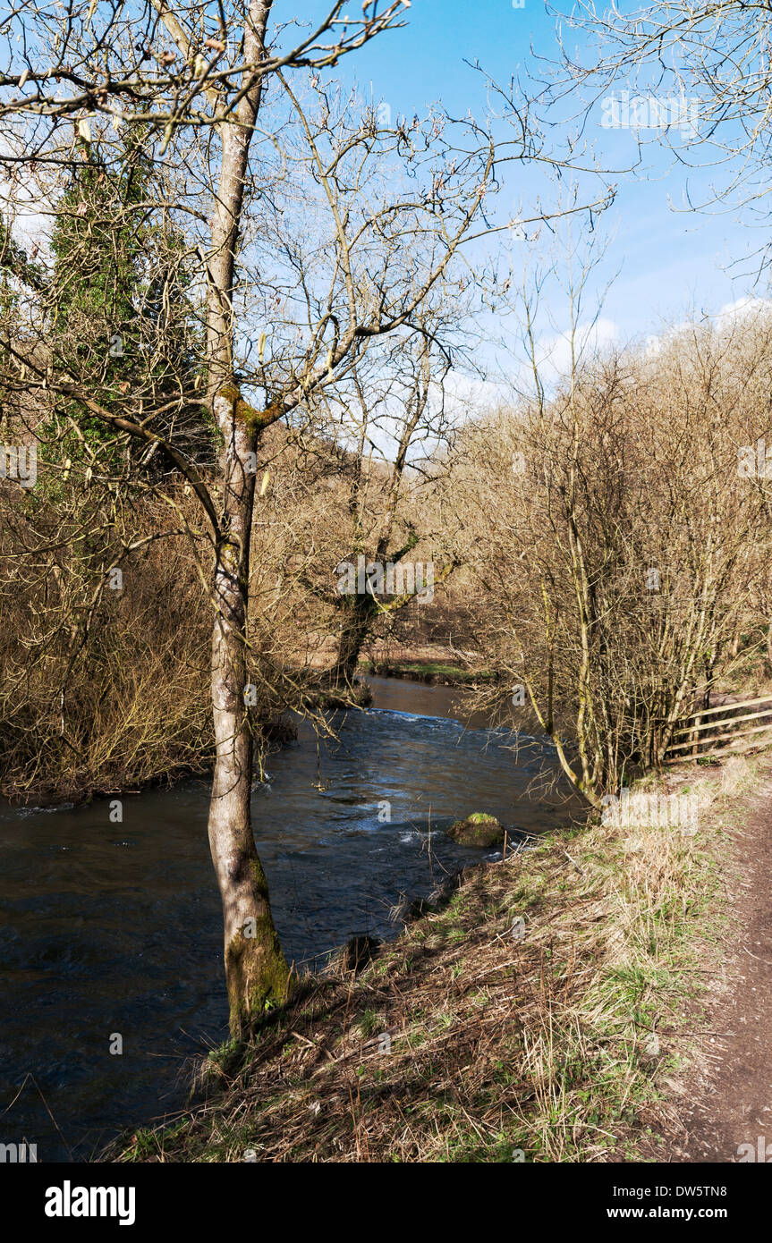The river Dove, Dovedale, Peak District National Park Stock Photo - Alamy
