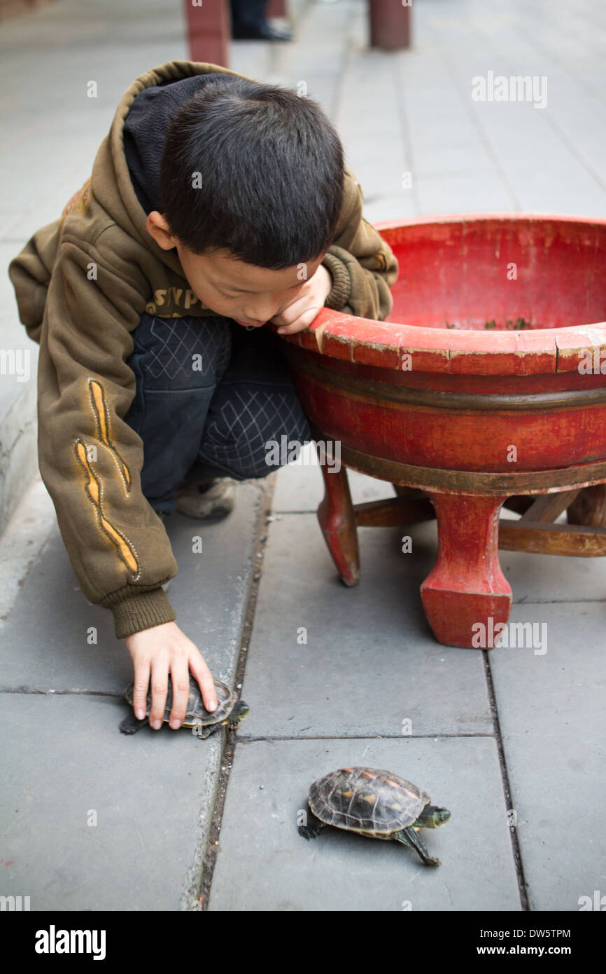 Chinese boy and turtles Stock Photo - Alamy