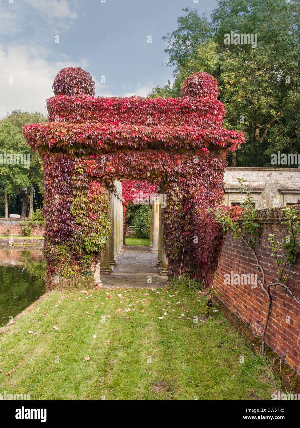 Virginia Creeper in full colour covering ancient columns and arches at ...