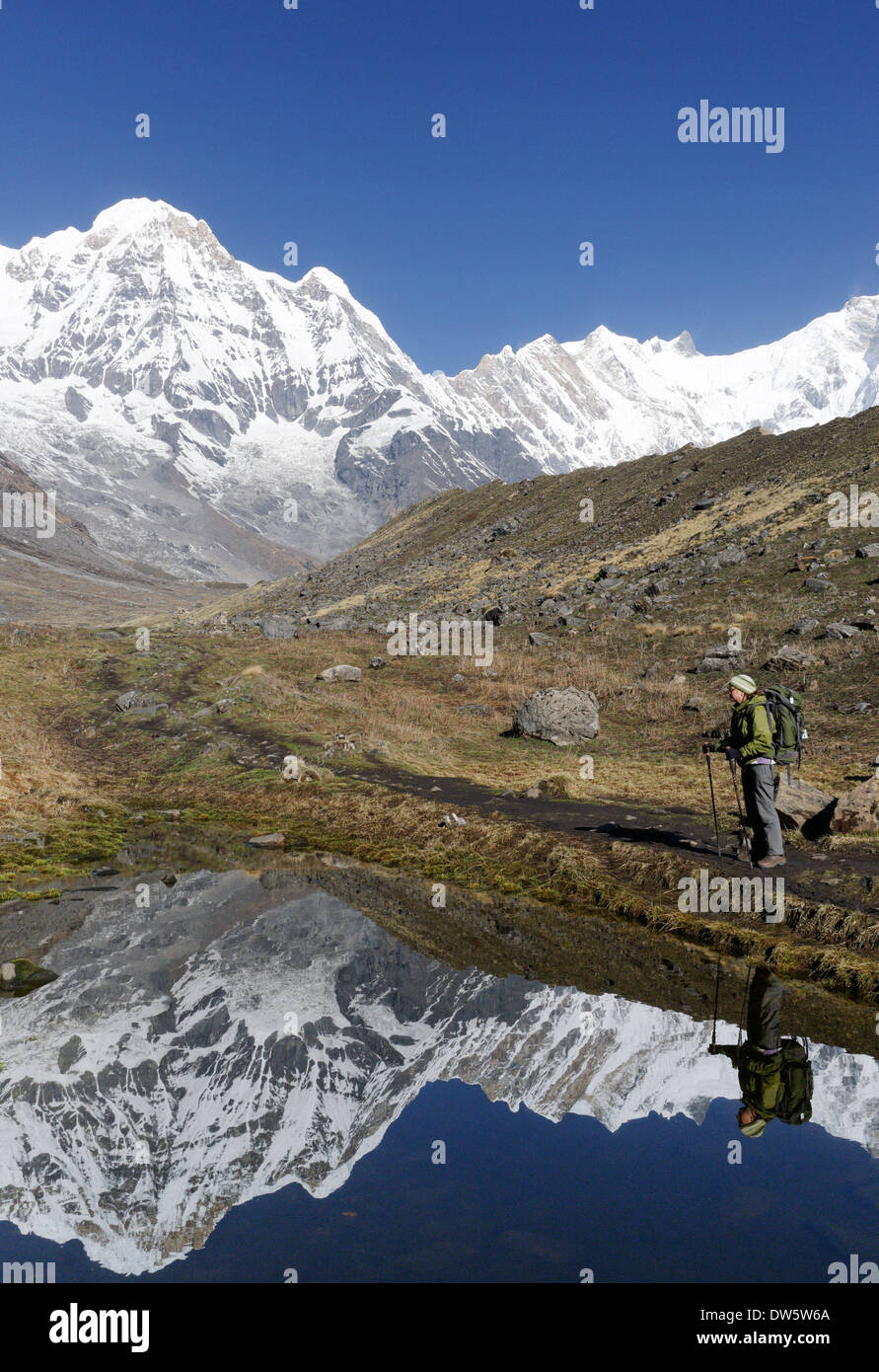 A lady trekker by a perfectly still lake in the Annapurna Sanctuary in ...