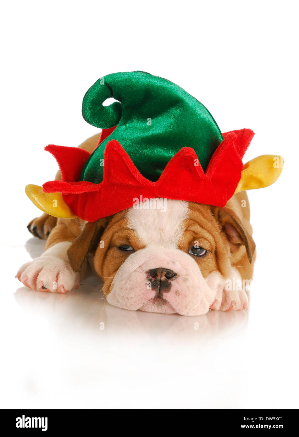 Festive elf hat face Cut Out Stock Images & Pictures - Alamy