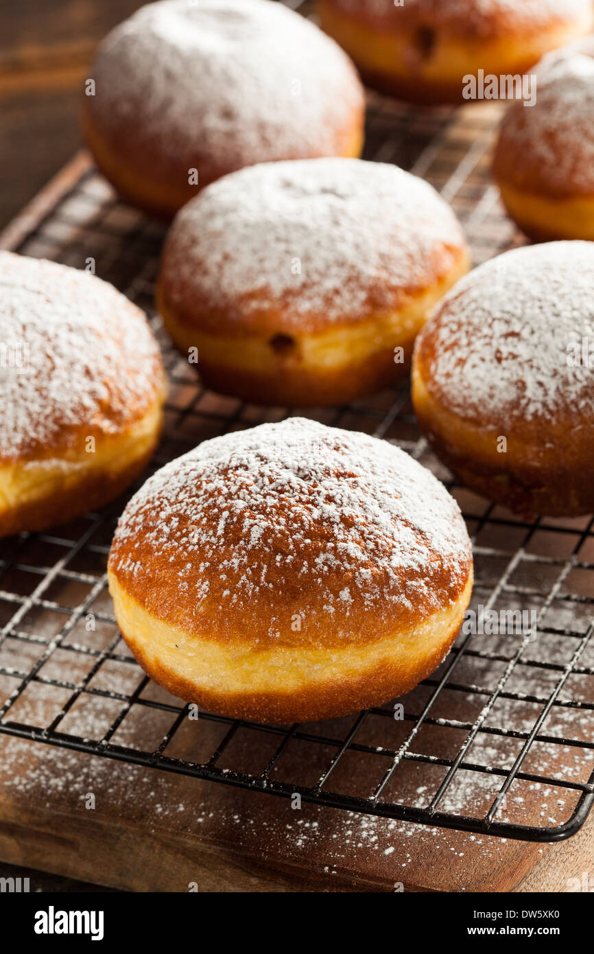 Homemade Raspberry Polish Paczki Donut with Powdered Sugar Stock Photo ...