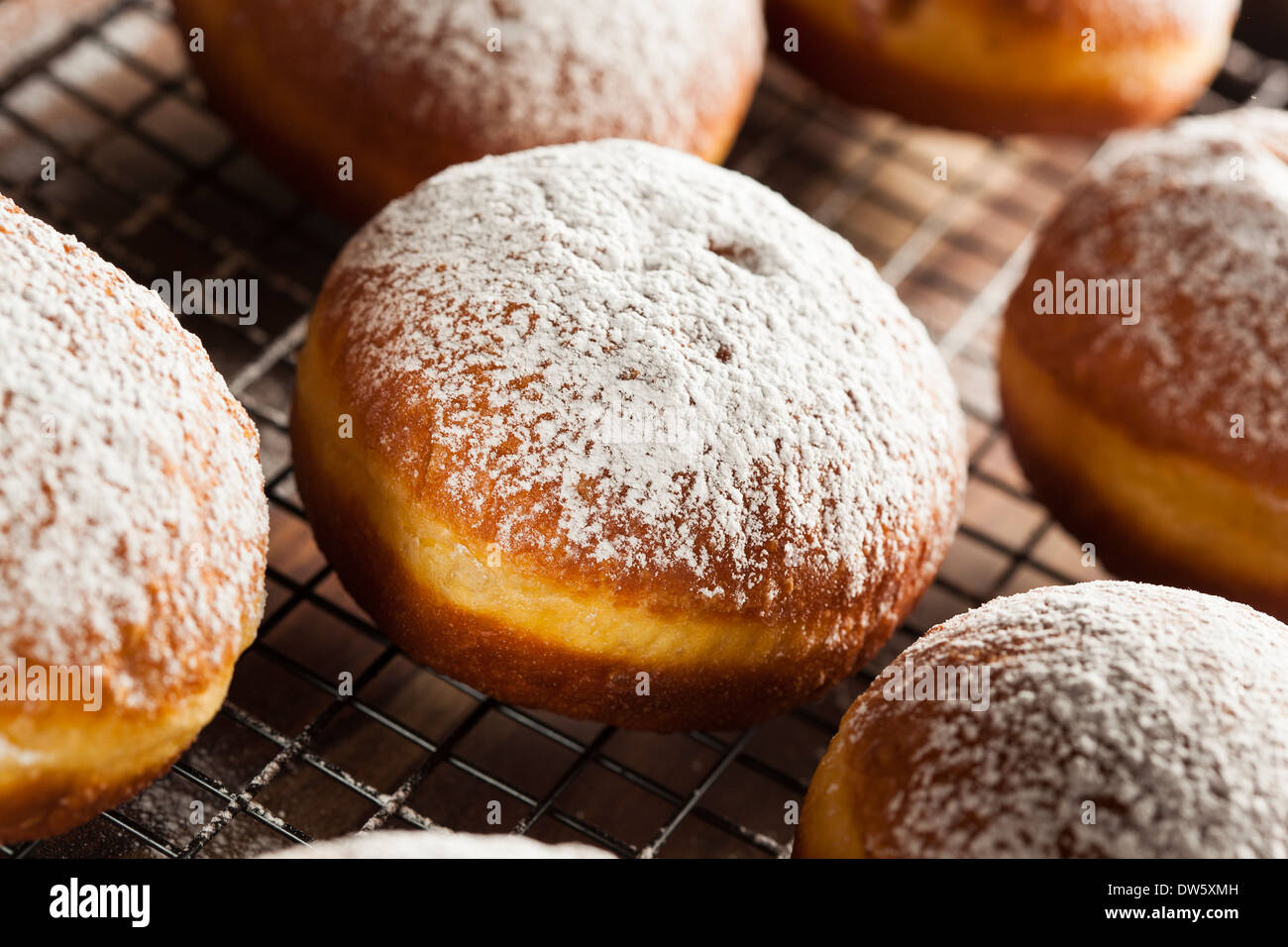 Homemade Raspberry Polish Paczki Donut with Powdered Sugar Stock Photo ...
