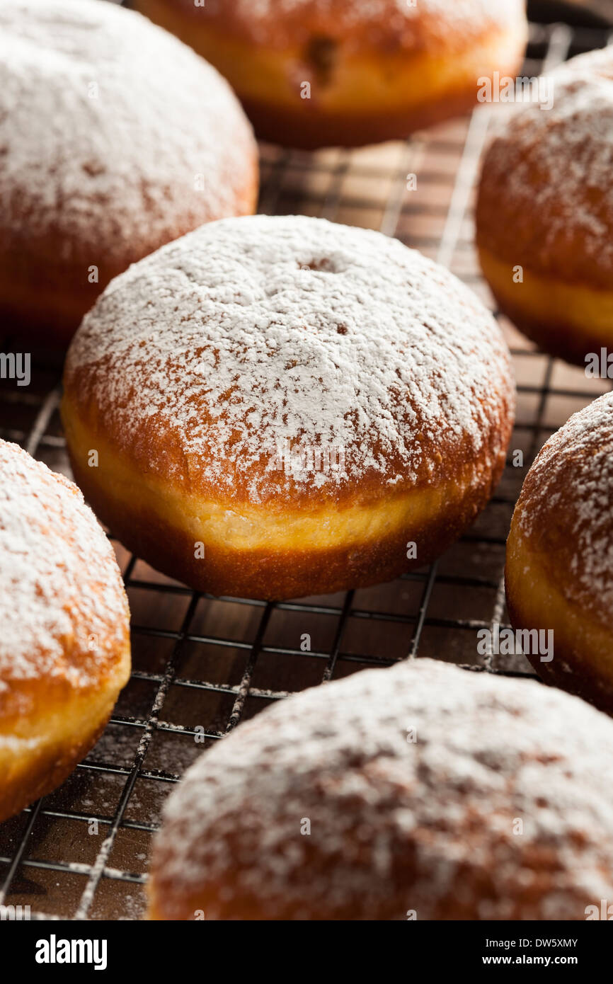 Homemade Raspberry Polish Paczki Donut with Powdered Sugar Stock Photo ...