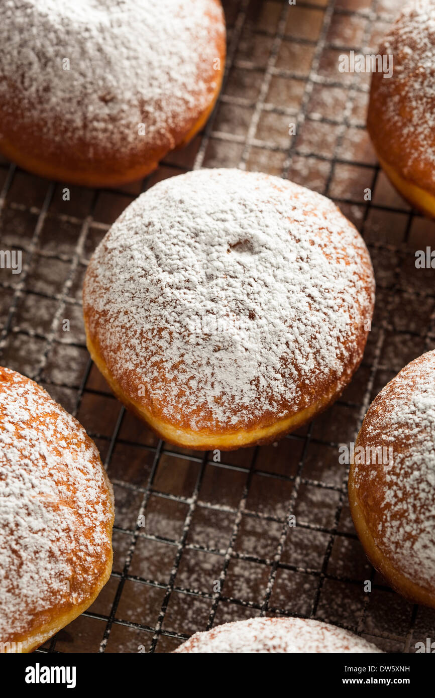 Homemade Raspberry Polish Paczki Donut with Powdered Sugar Stock Photo ...
