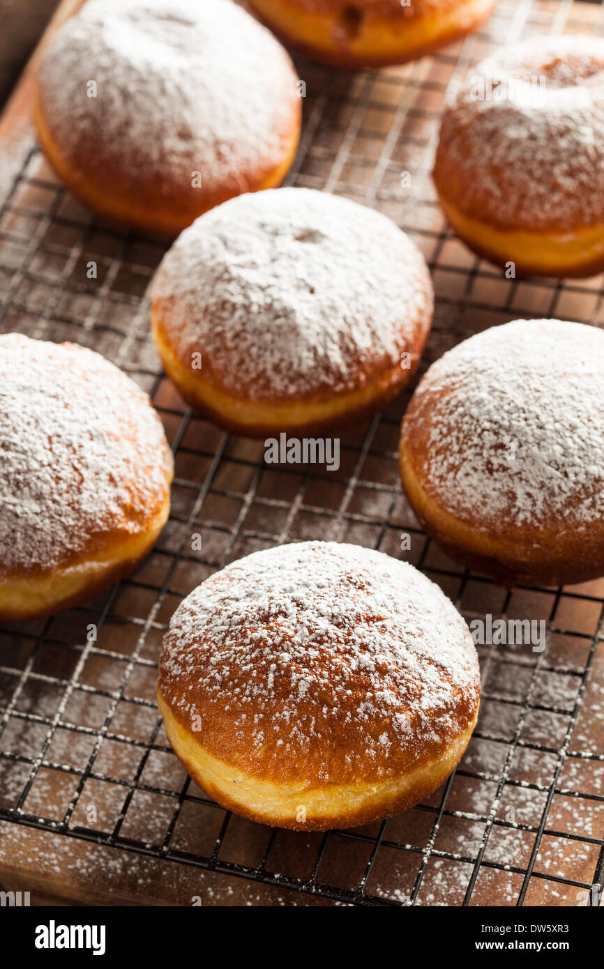 Homemade Raspberry Polish Paczki Donut with Powdered Sugar Stock Photo ...