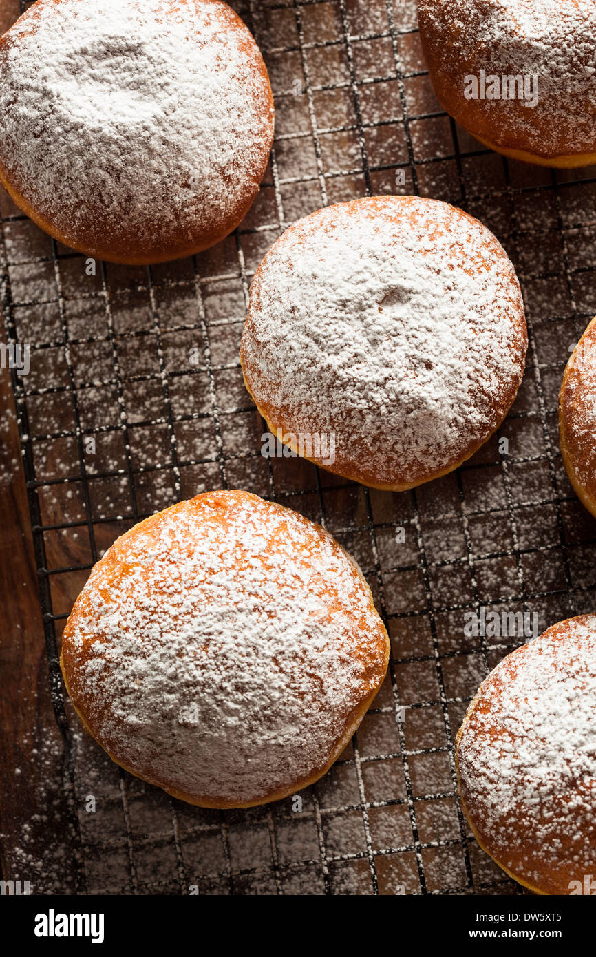 Homemade Raspberry Polish Paczki Donut with Powdered Sugar Stock Photo ...
