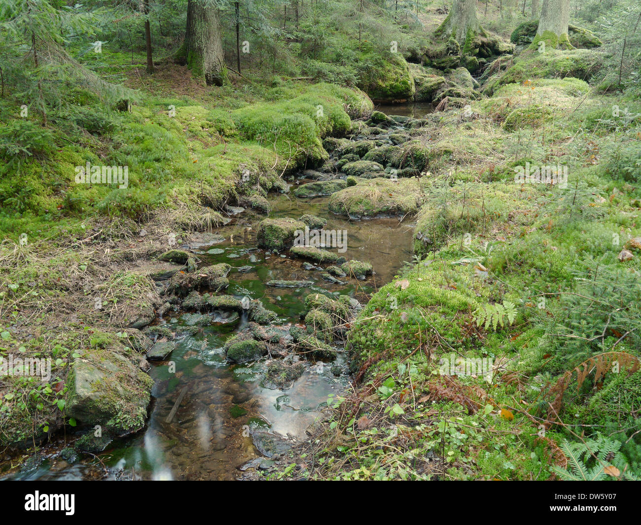 Upstream water hi-res stock photography and images - Alamy
