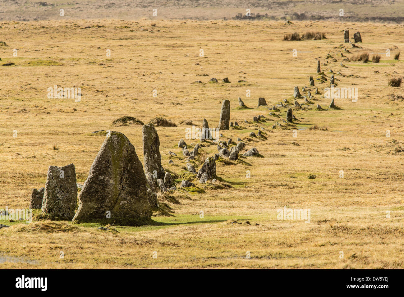 Dartmoor stones hi-res stock photography and images - Alamy