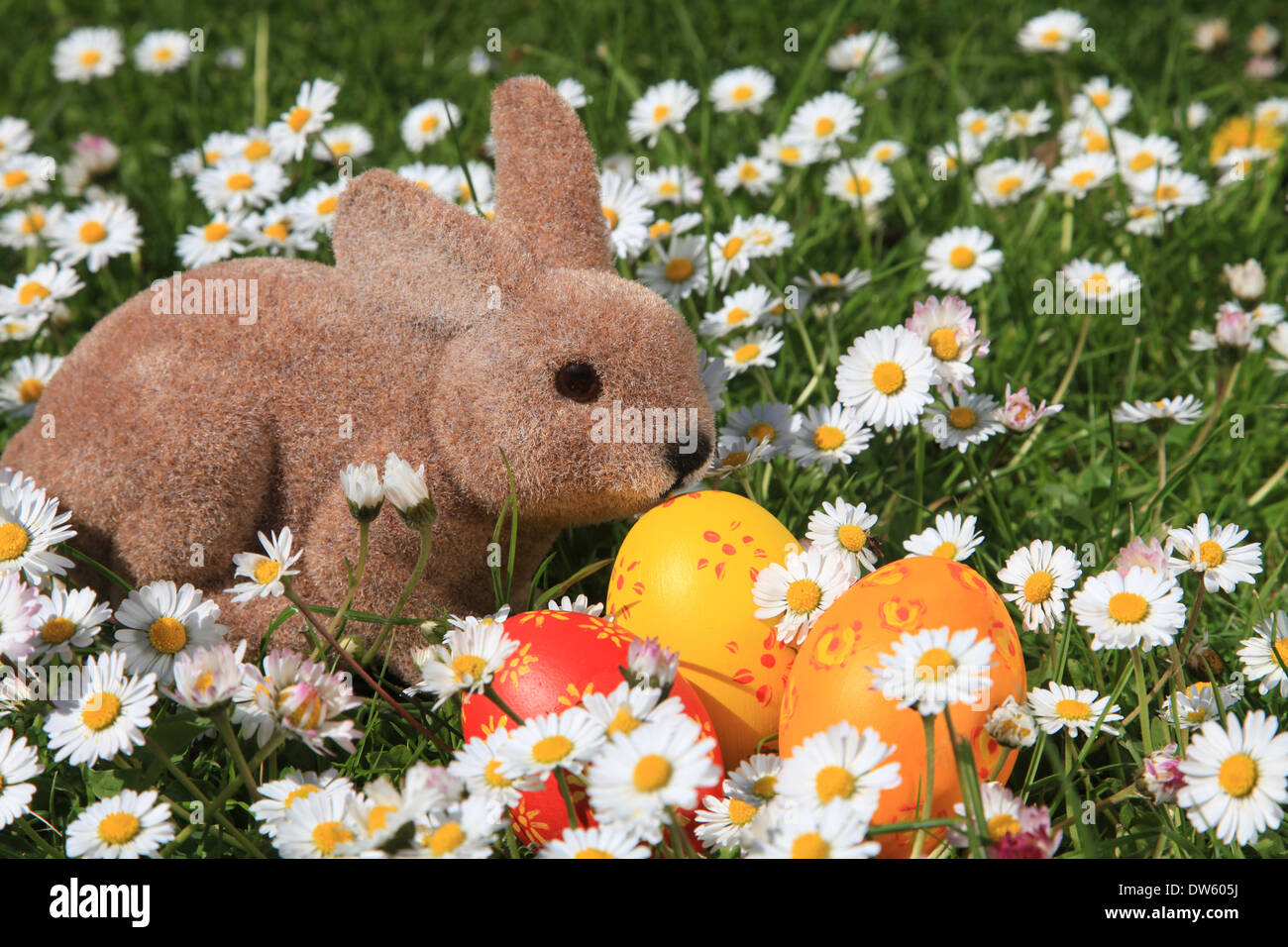 Easter bunny and Easter eggs Stock Photo - Alamy