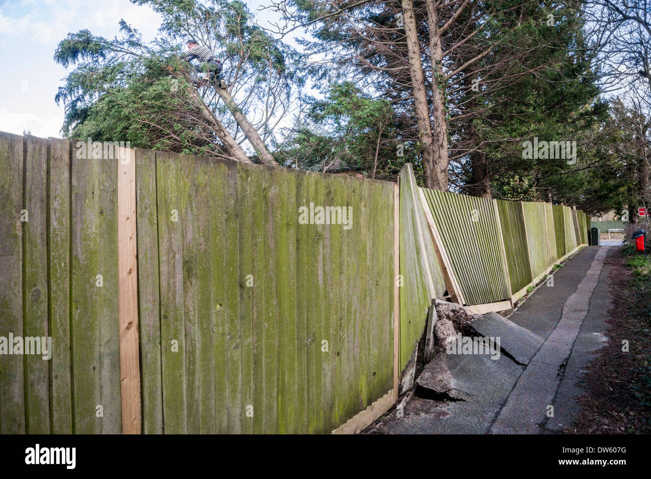 Pavement damage hi-res stock photography and images - Alamy