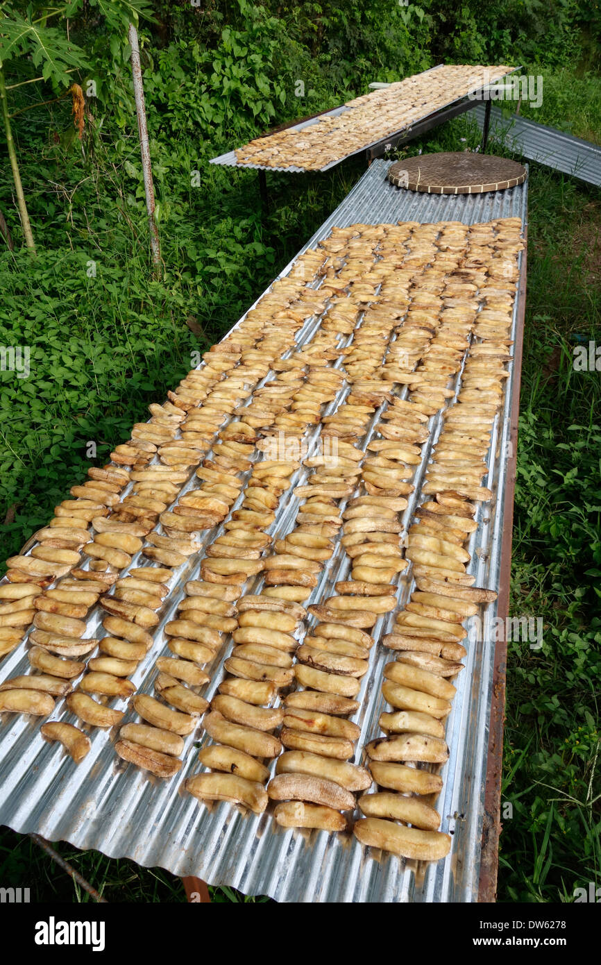 Solar drying hi-res stock photography and images - Alamy
