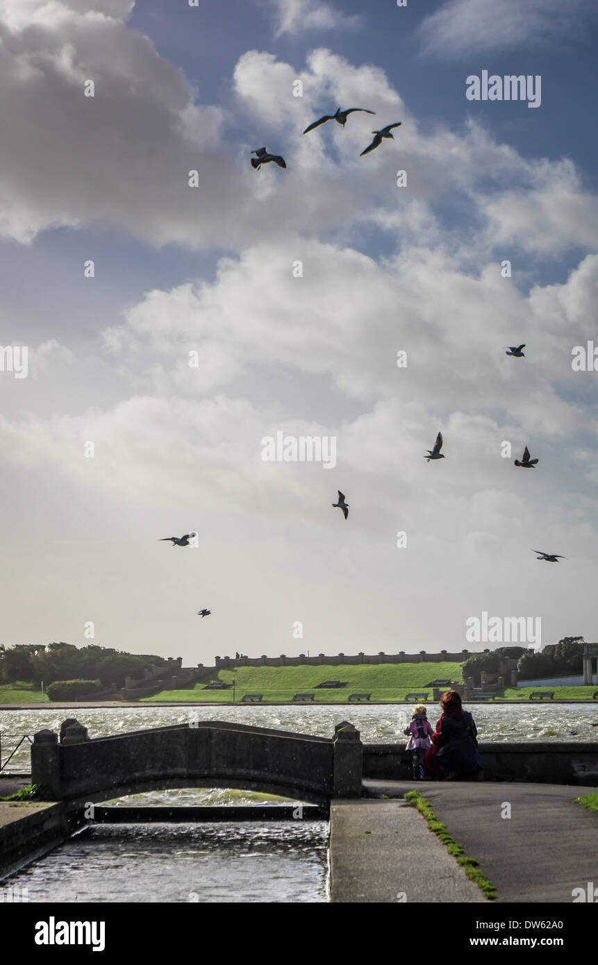 Storm watching @ The Knap Barry Stock Photo - Alamy