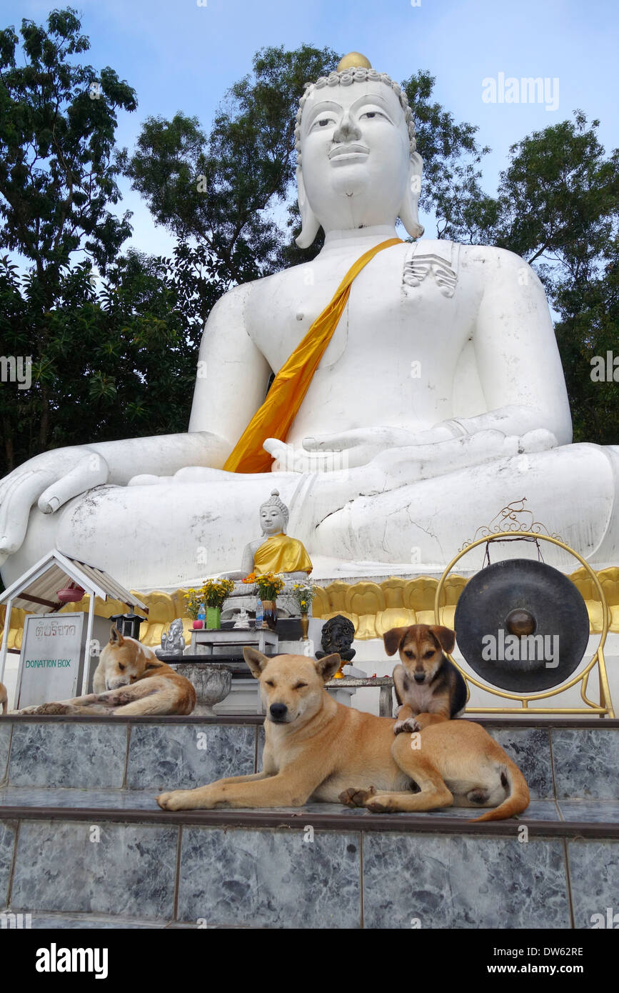 "Temple dogs" at the base of the White Buddha on the grounds of Wat ...