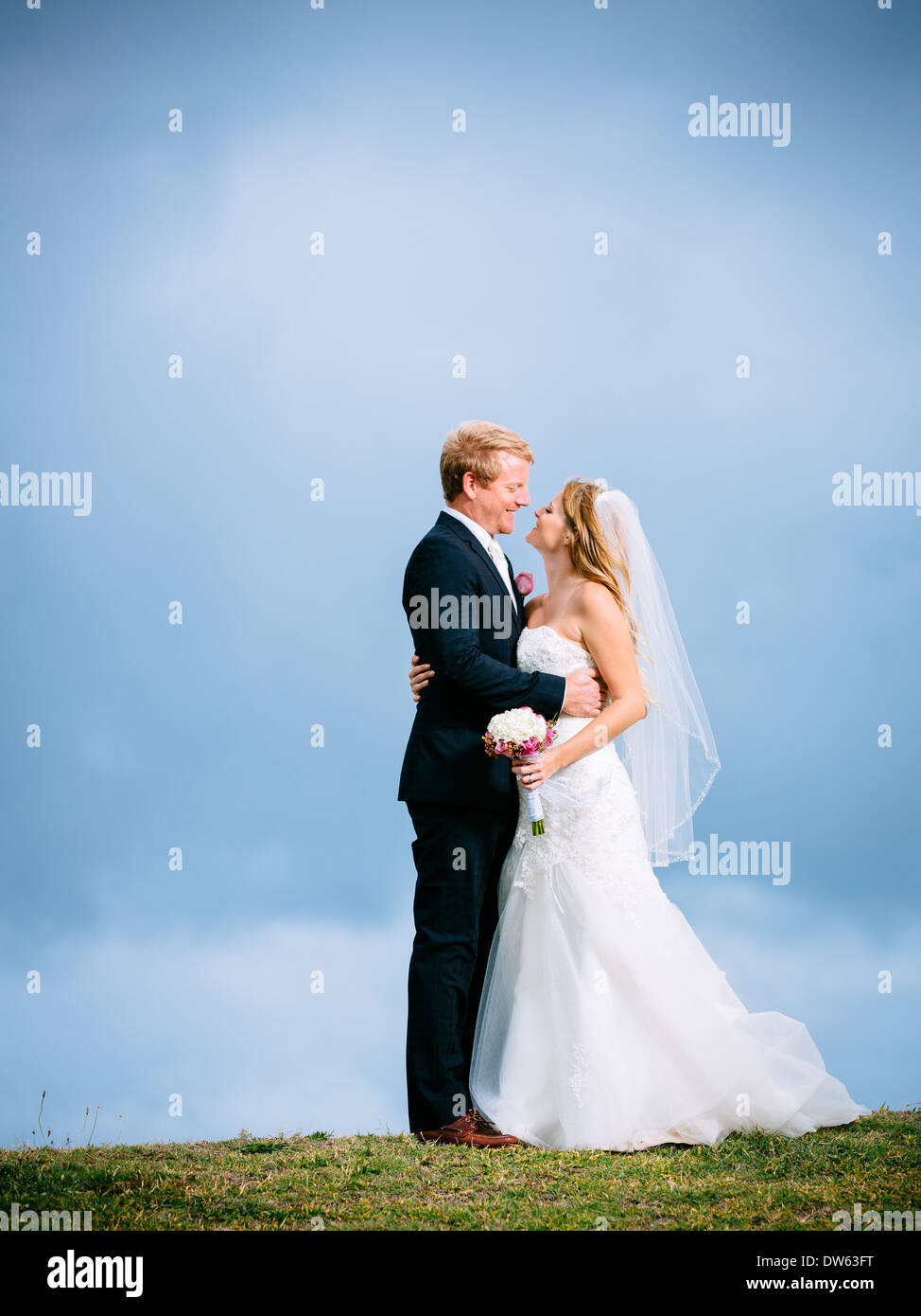 Wedding. Bride and Groom Stock Photo - Alamy