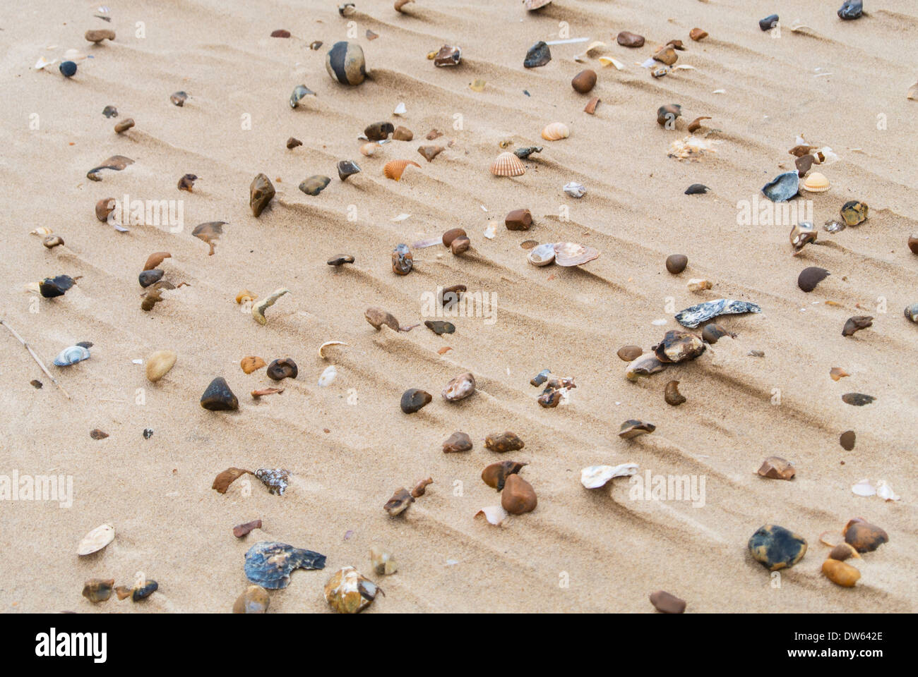 Windblown sand with shells and pebbles Stock Photo - Alamy