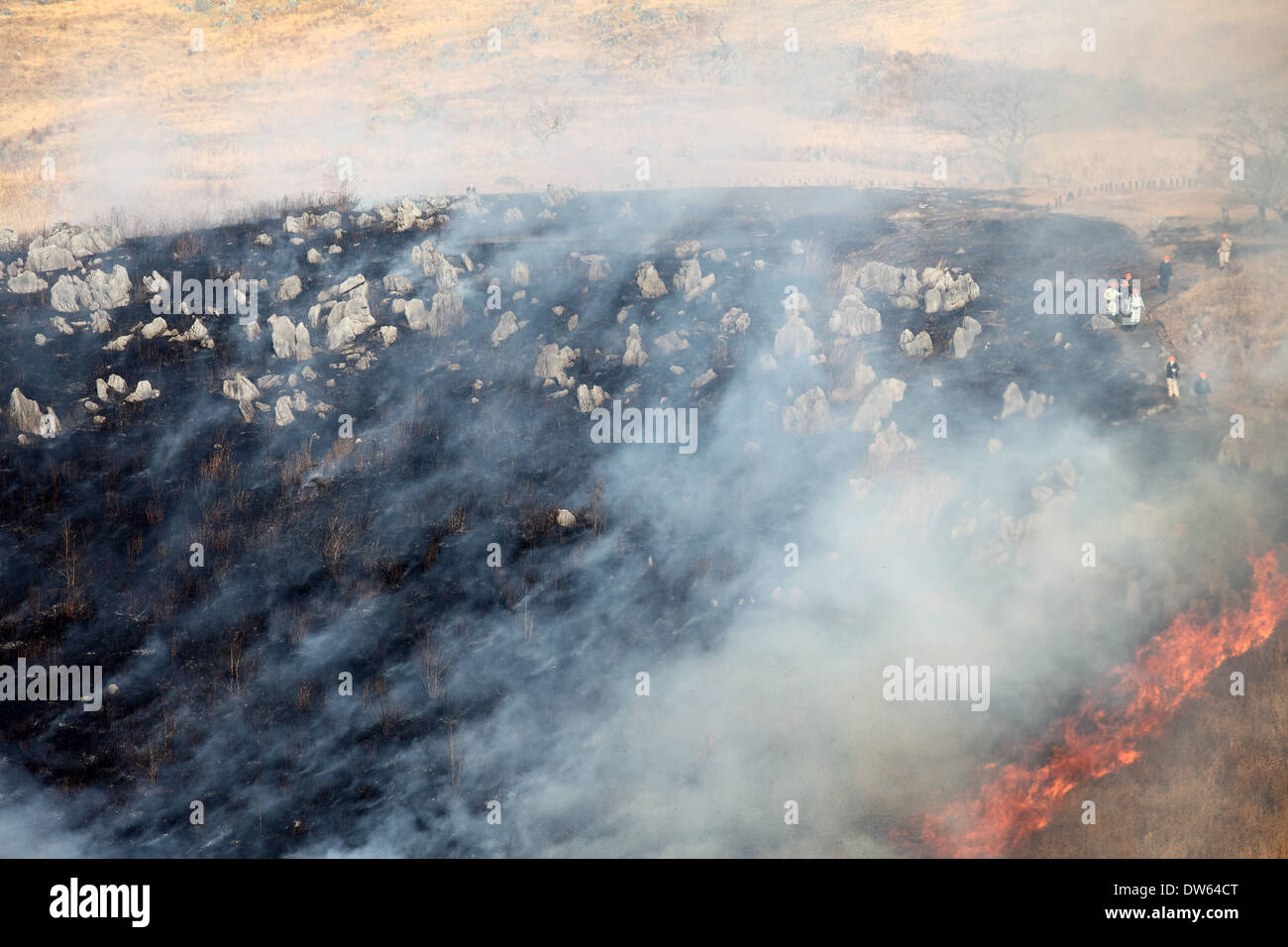 landscape view of a burnt land Stock Photo - Alamy