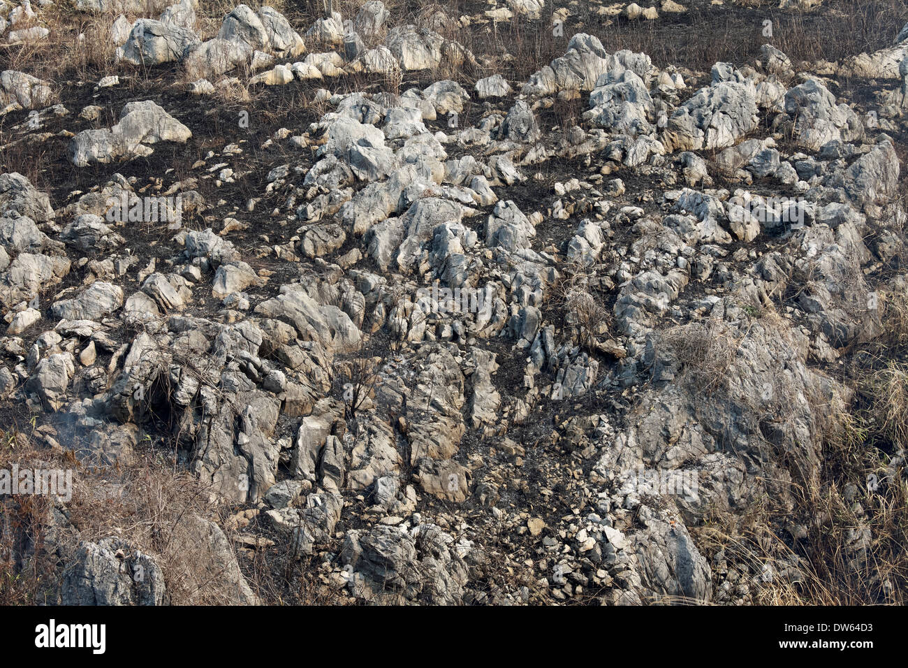 Burnt land hi-res stock photography and images - Alamy