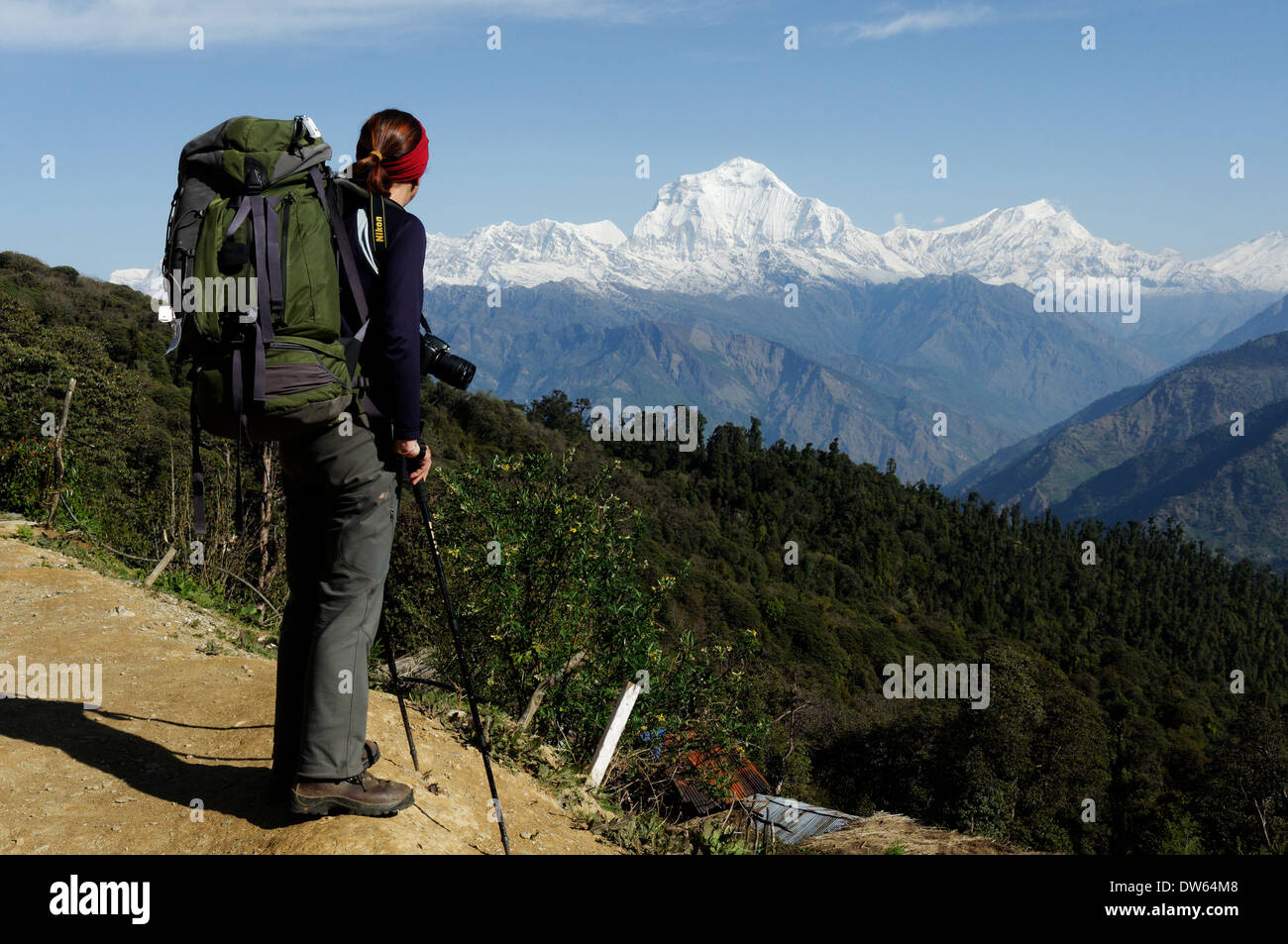 A lady trekker in Nepal looking toward Dhaulagiri Stock Photo - Alamy