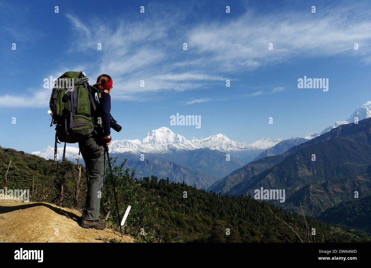 A lady trekker in Nepal looking toward Dhaulagiri Stock Photo - Alamy